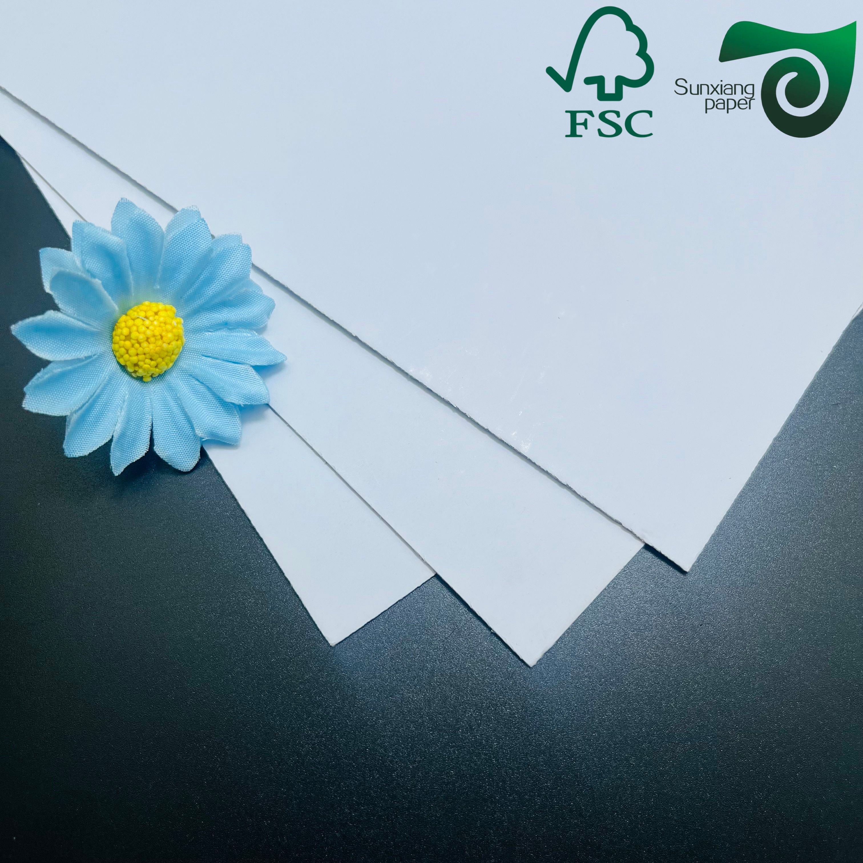 FSC-zertifizierter beschichteter Duplexkarton für Premium-Schuhkartons