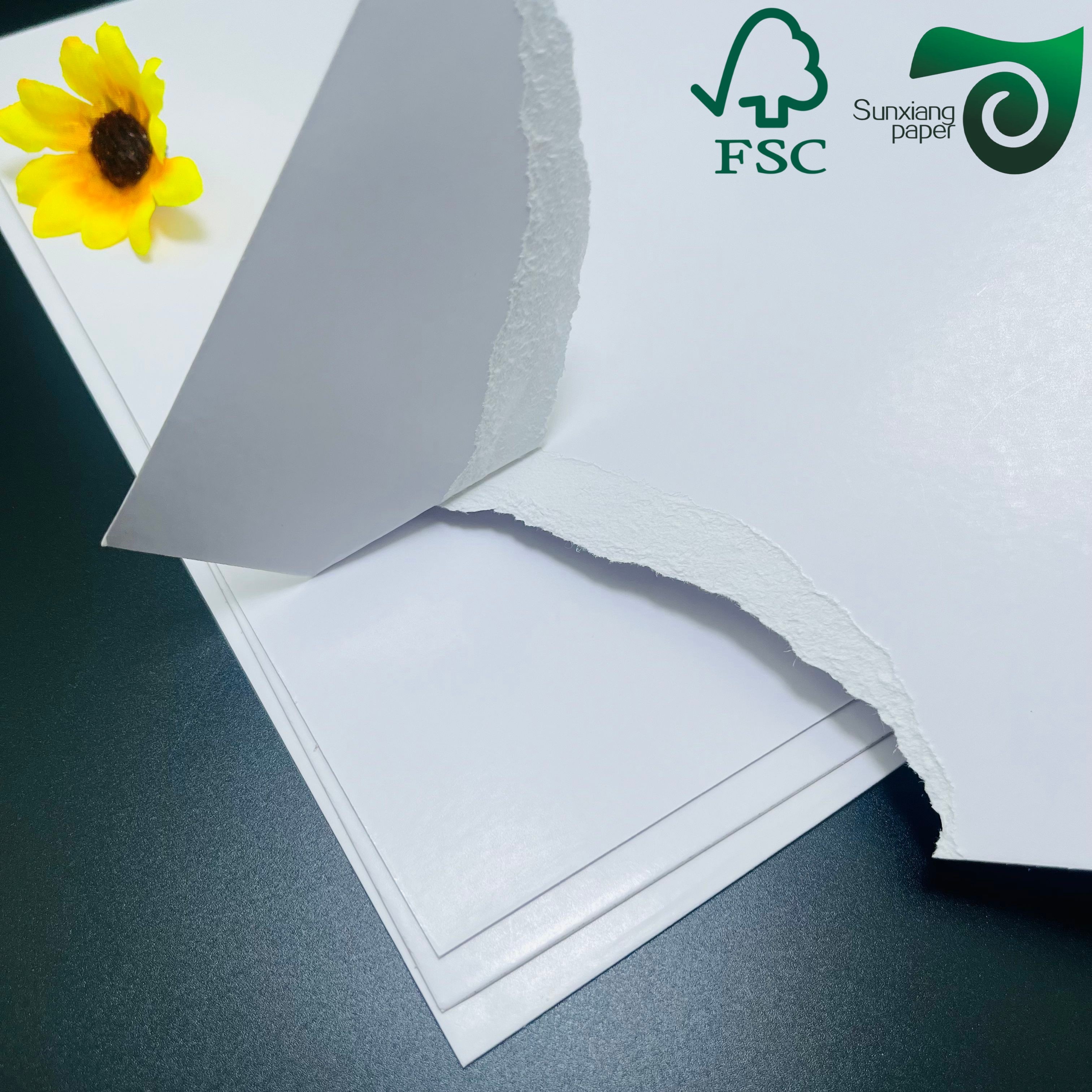 FSC Recyclable C2S Coated Art Paper 300gsm/350gsm High Gloss